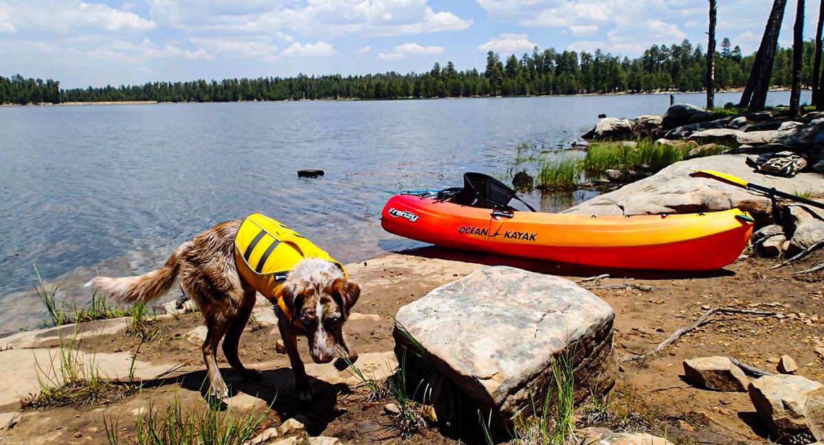Tuck When Upside-Down in a Kayak | Kayak Manual